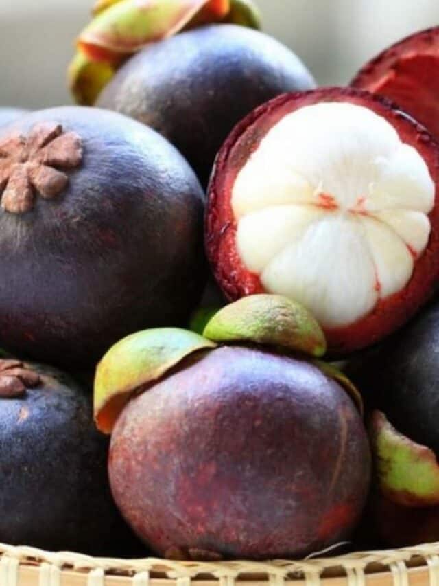 Why you should include kokum to your diet