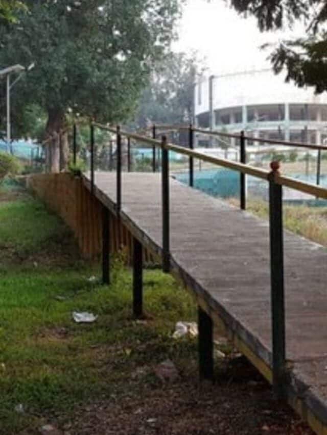 madurai district news : Madurai jasmine flower price increase ahead of ...