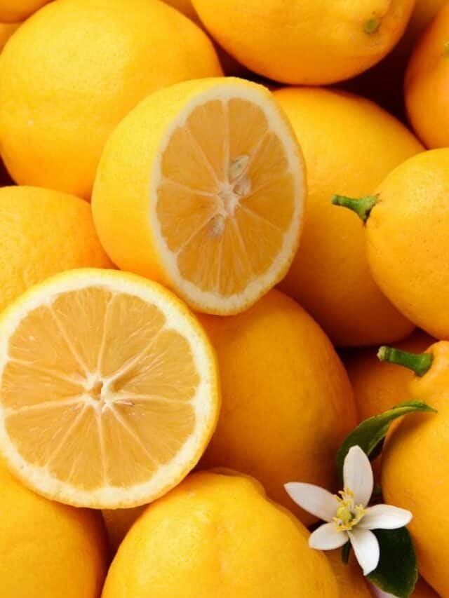 5 Restaurants Owned By Masterchef India Judges