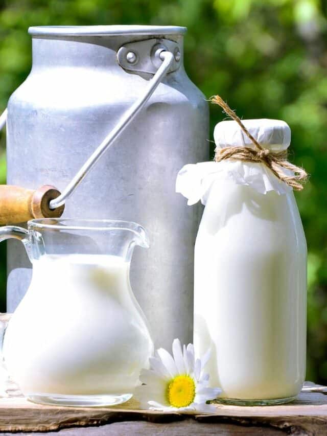 दुधाचा रंग पांढराच का असतो? तो लाल-हिरवा का नसतो?