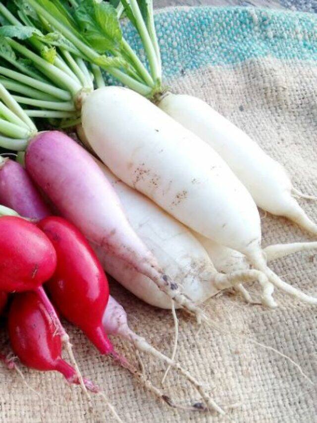 7 Health Benefits Of Consuming Radishes
