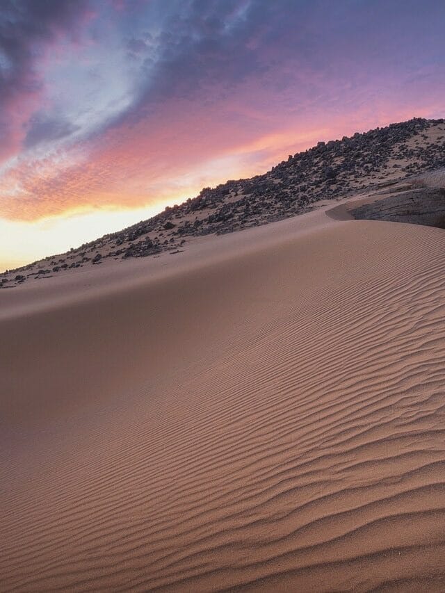 5 Famous Deserts In The World 5-famous-deserts-in-the-world