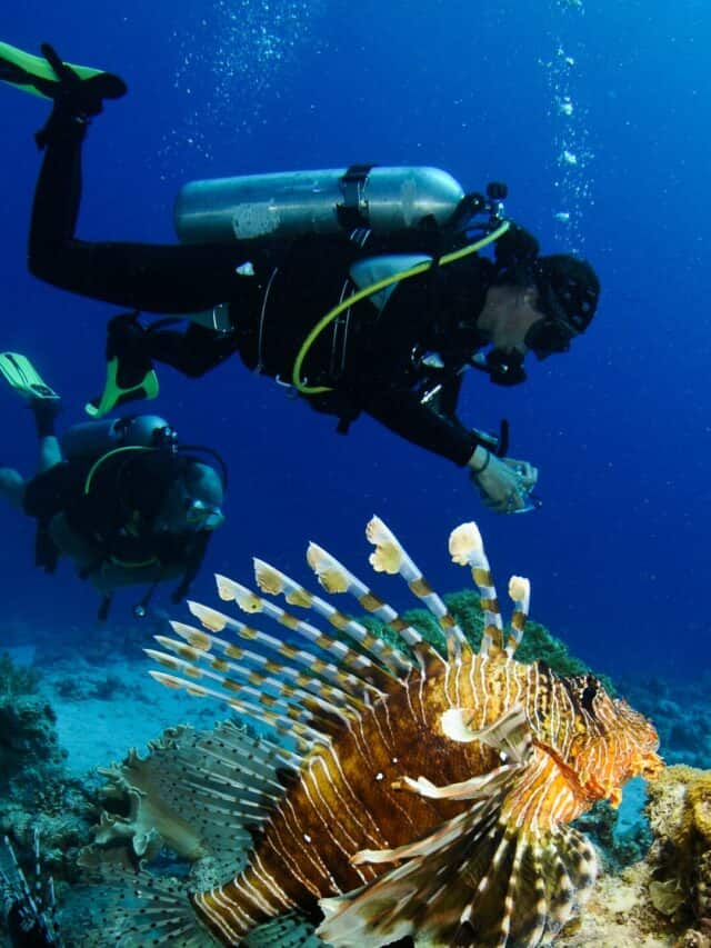 स्कूबा डाइविंग के लिए बेस्ट हैं भारत की ये जगहें