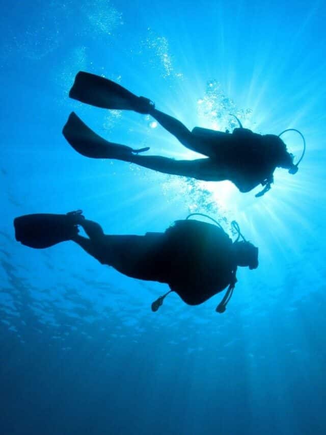 7 Things To Know Before Going Scuba Diving