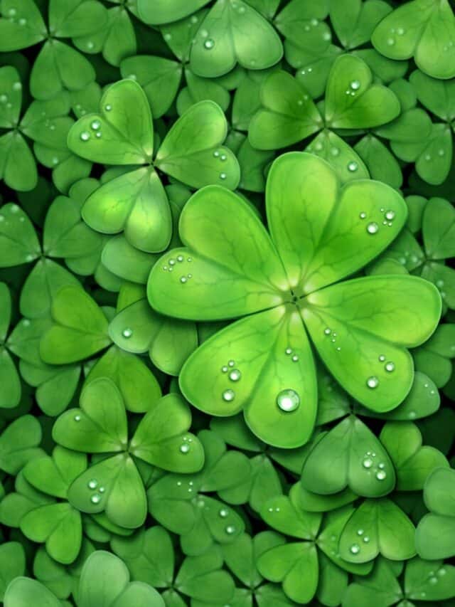 10 Lucky Plants That Can Change Your Life