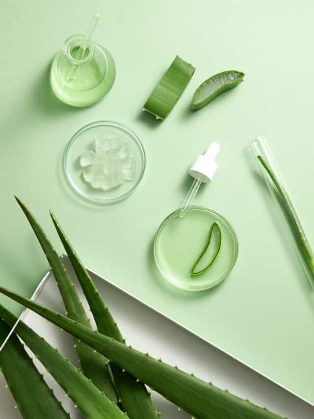 6 Benefits Of Aloe Vera You Should Know About
