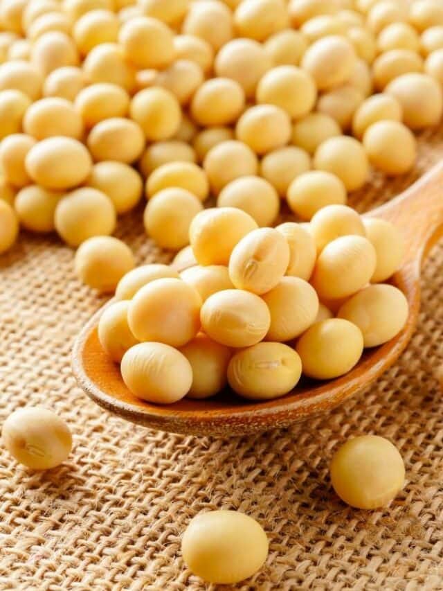 5 Benefits Of Eating Soy Foods