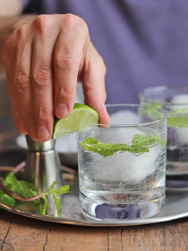 8 Tonic Infused Drinks Recipes