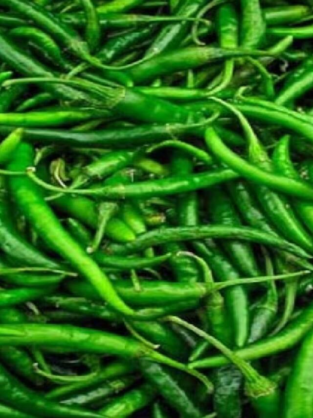5 Tips To Grow Green Chilli At Home
