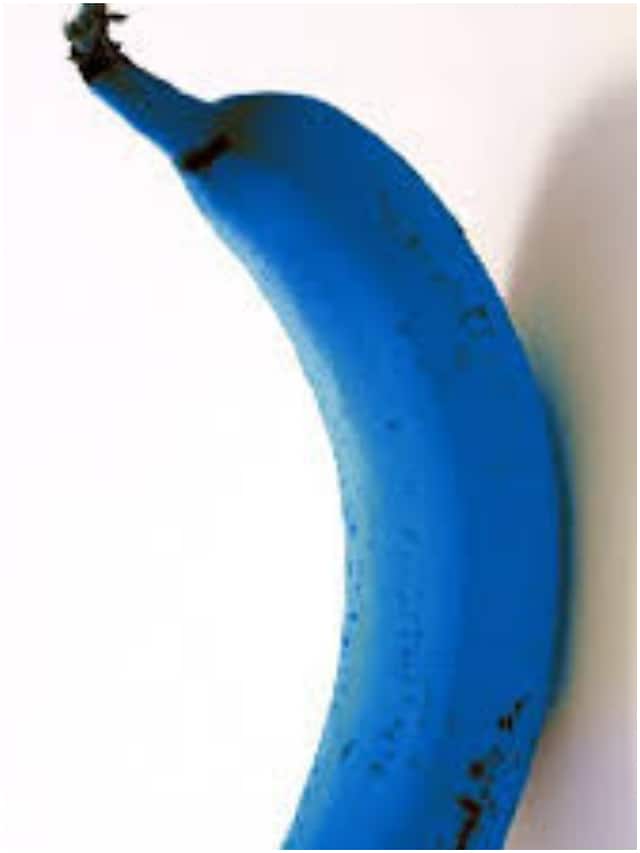 কলা তাও আবার নীল রঙের, ব্যাপারটা কী