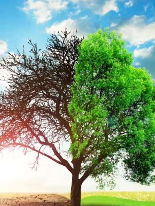 10 Inspiring Quotes On Environment