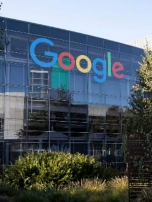 10 Plants Found In Google Headquarters