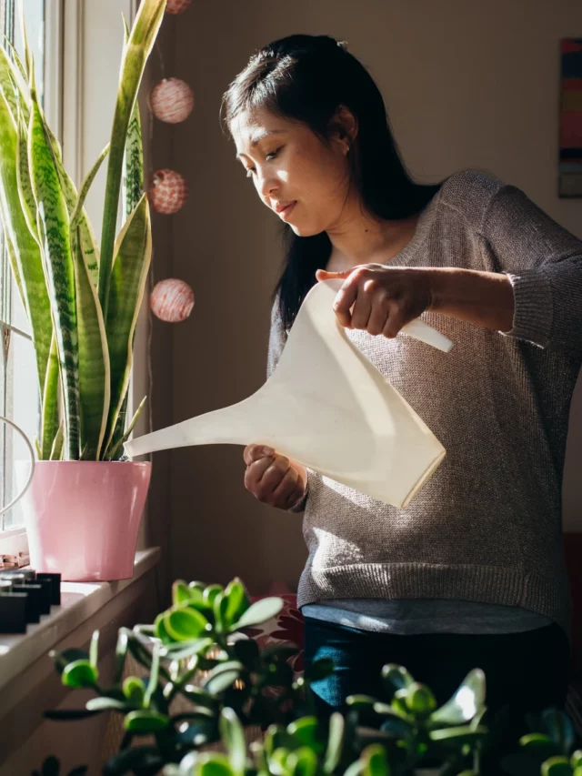7 Signs You Are A Plant Person
