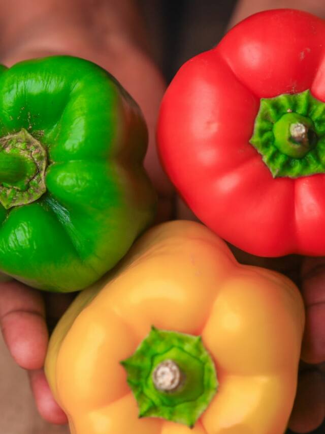 7 Tips for Growing Bell Peppers Indoors