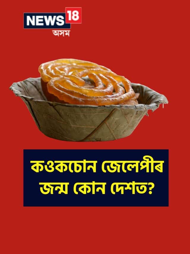 News18 Assam/North-East: Latest Assamese News, Live Assamese News From ...