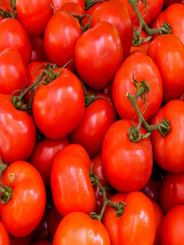 9 Benefits Of Eating Tomatoes