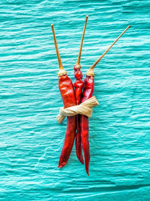 7 Tips To Grow Chillies At Home