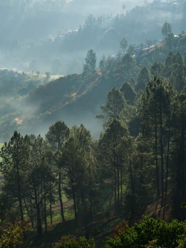 भोपाल की ये 10 टूरिस्ट प्लेस हैं खास