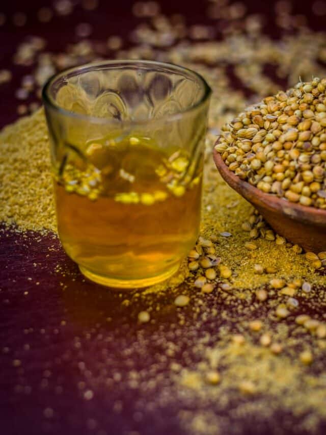 Youtuber Death: অকালে চলে গেল তরতাজা প্রাণ, পার্টিতে বন্ধুদের সঙ্গে ...