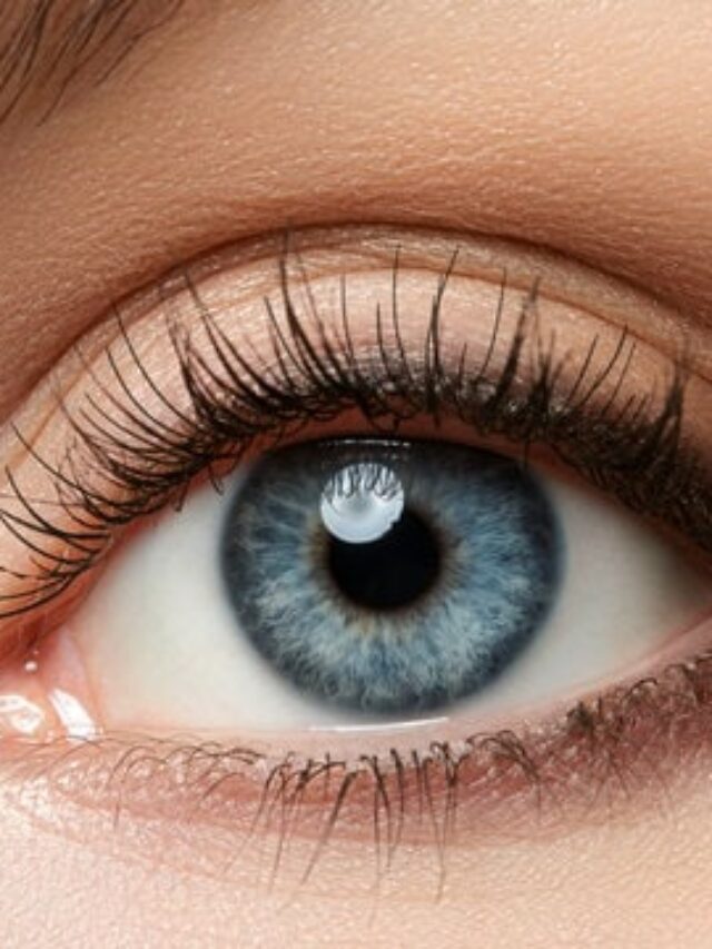 Best foods to improve eyesight Best foods to improve eyesight