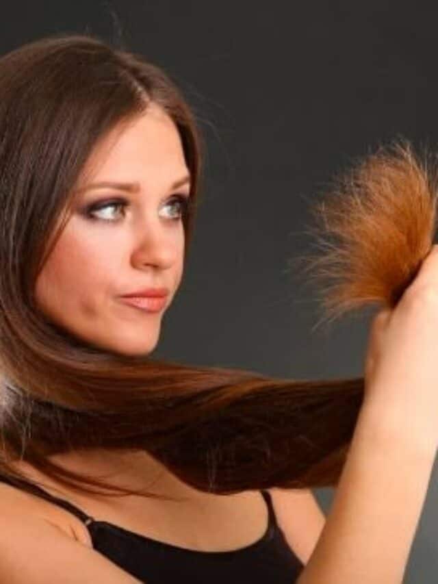 5 Home Remedies To Get Rid Of Split Ends