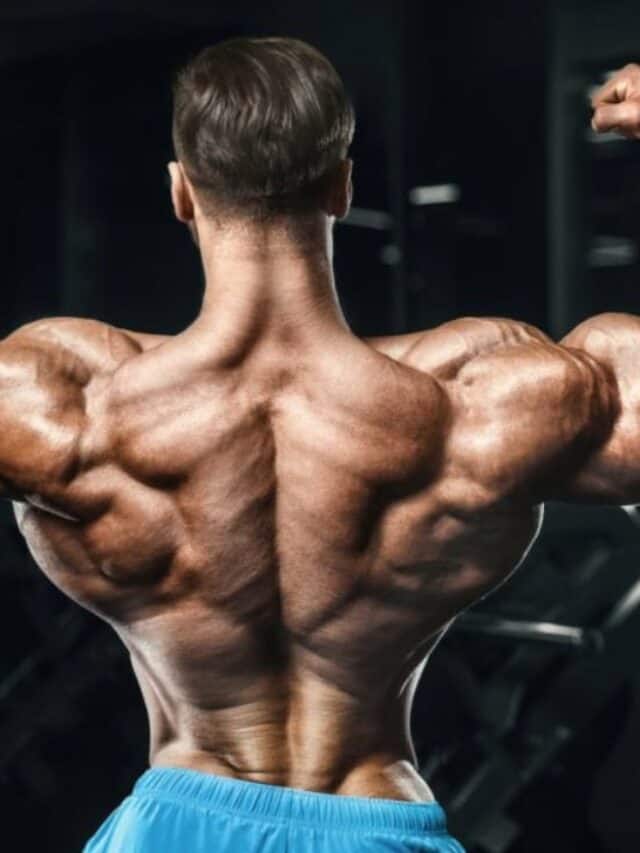 8 Best Exercises for a Wider Back