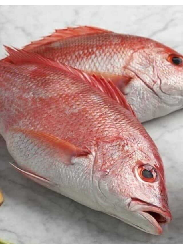 Omega 3 అధికంగా ఉండే ఫిష్..