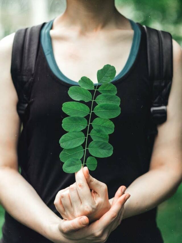 Moringa: Health Benefits