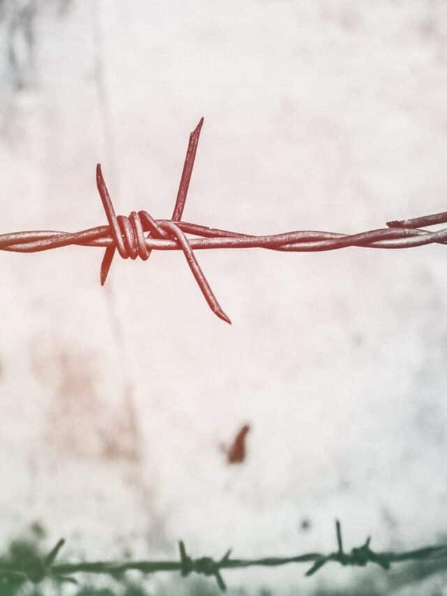 5 Unusual Borders Around The World