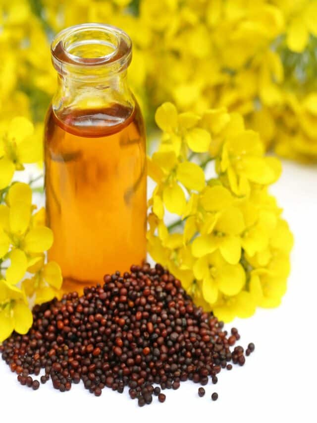 Mustard Oil : سرسوں کے تیل کے فوائد
