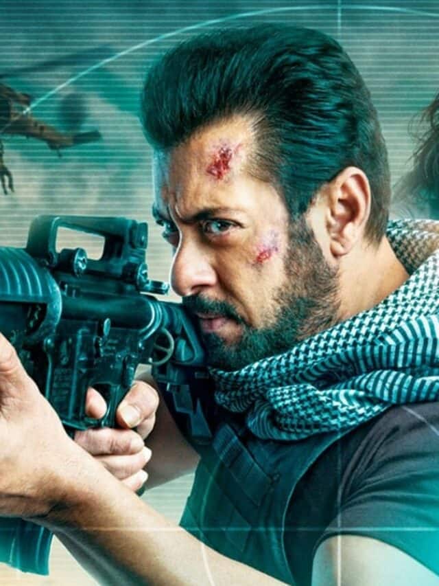 Salman Khan Movies To Watch Before Tiger 3 Release