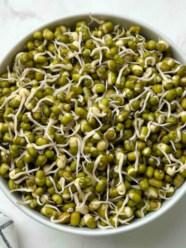 Health benefits of eating sprouts