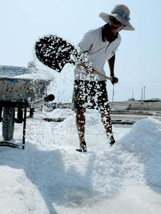 Reducing salt intake beneficial like BP drugs: Study