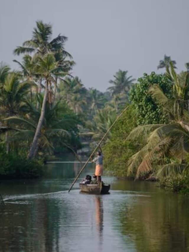 8 Beautiful and Must-Go-To Places in Kerala
