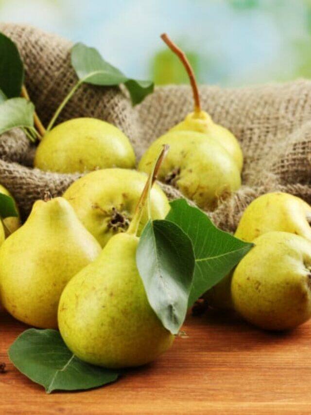 Benefits of Eating Pears: ناشپاتی کھانے کے 5 فائدے