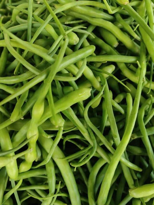 Mogri : سردیوں میں اس دیسی سبزی کی مانگ بڑھ گئی