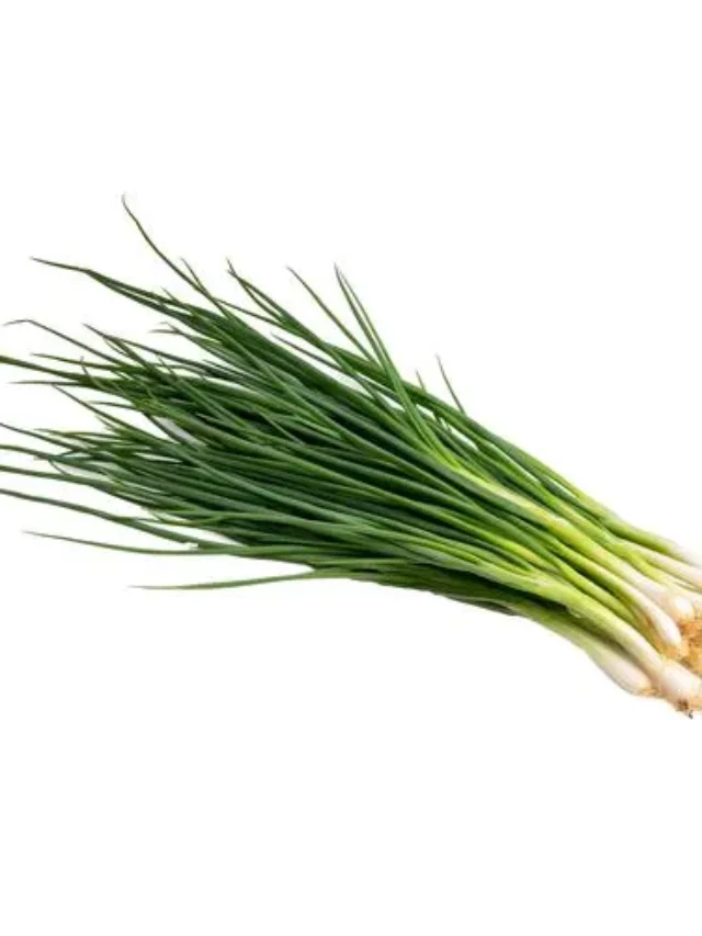 7 Health Benefits Of Consuming Spring Onions