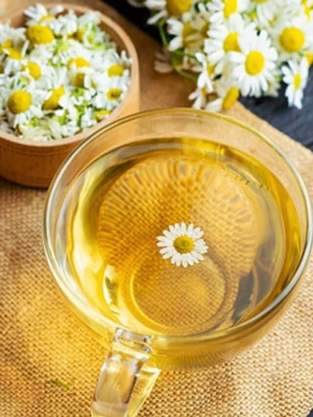 5 Edible Flowers and Their Culinary Uses