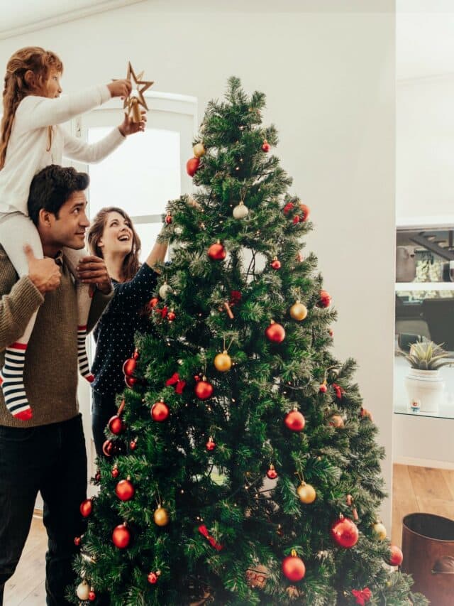 5 Fun Facts About Christmas You May Not Know