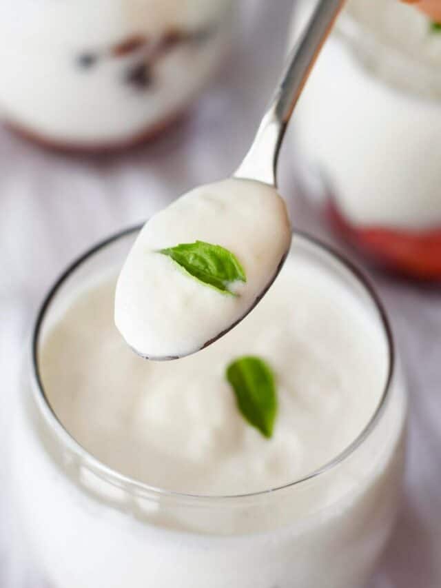 How To Prepare Easy Homemade Yogurt At Home?