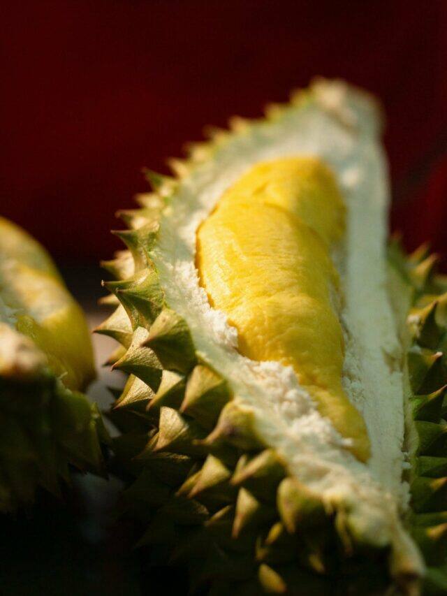 ये है दुनिया का सबसे बदबूदार फल, सूंघते ही हो जाओगे बेहोश!