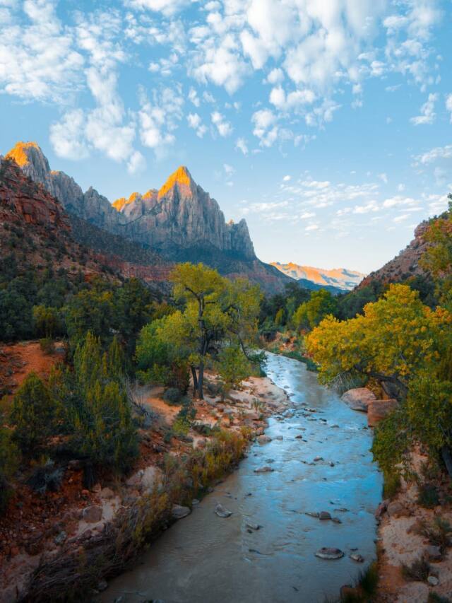 10 Lessons To Learn From Nature