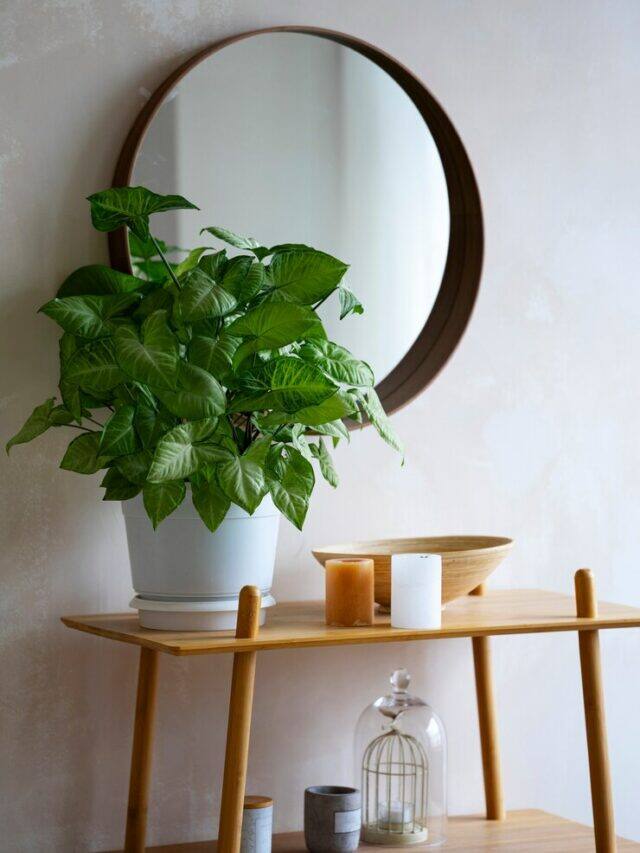 9 ways to use mirrors to attain good luck