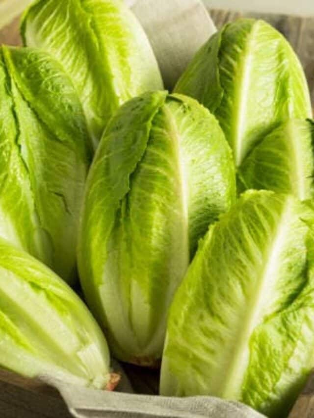 7 Benefits Of Consuming Lettuce