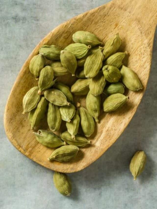 How To Grow Cardamom Plant At Home