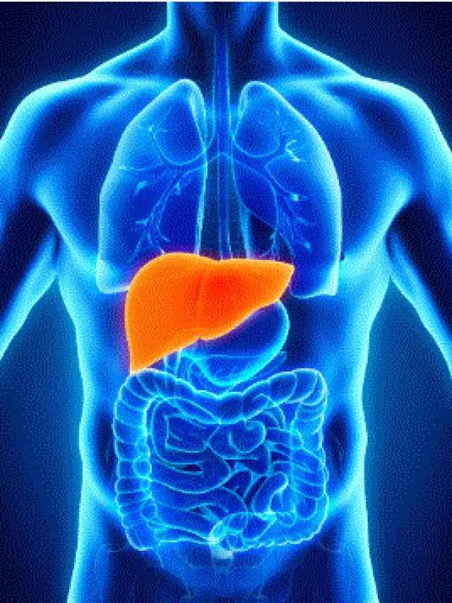5 Foods to Help Cleanse Your Liver