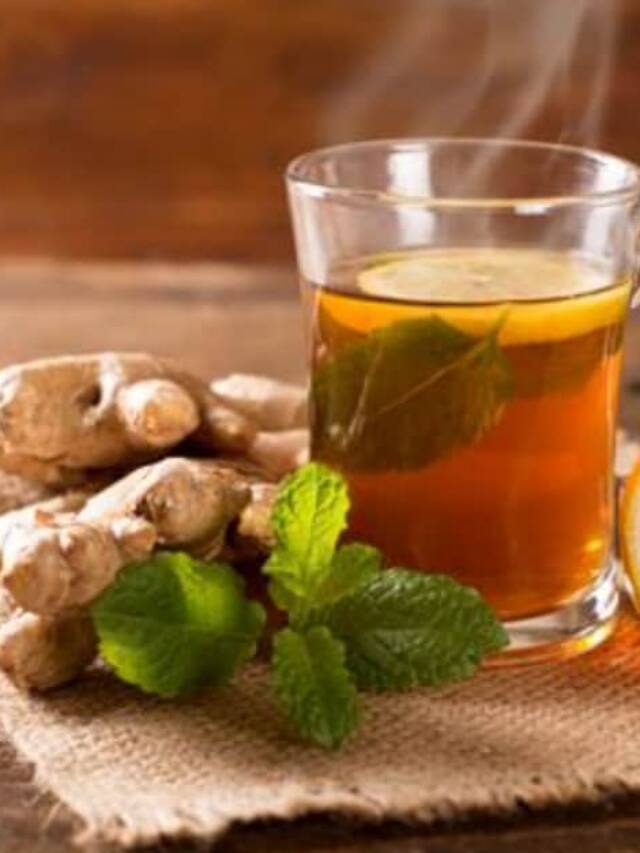 5 Best Herbal Teas for Your Digestive System