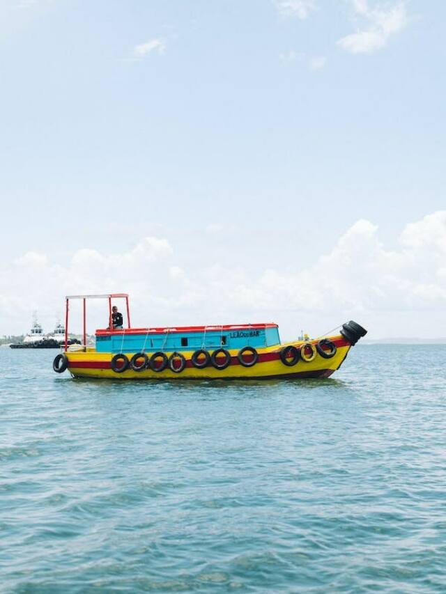 Global Toy Traditions: Unique Playthings from Different Cultures