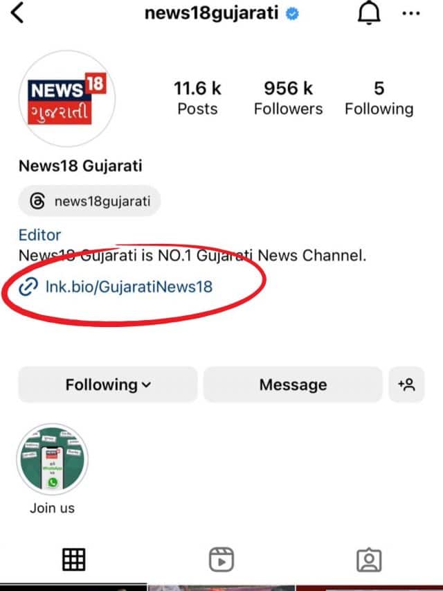 Link in Bio નો ઉપયોગ કેવી રીતે કરવો?