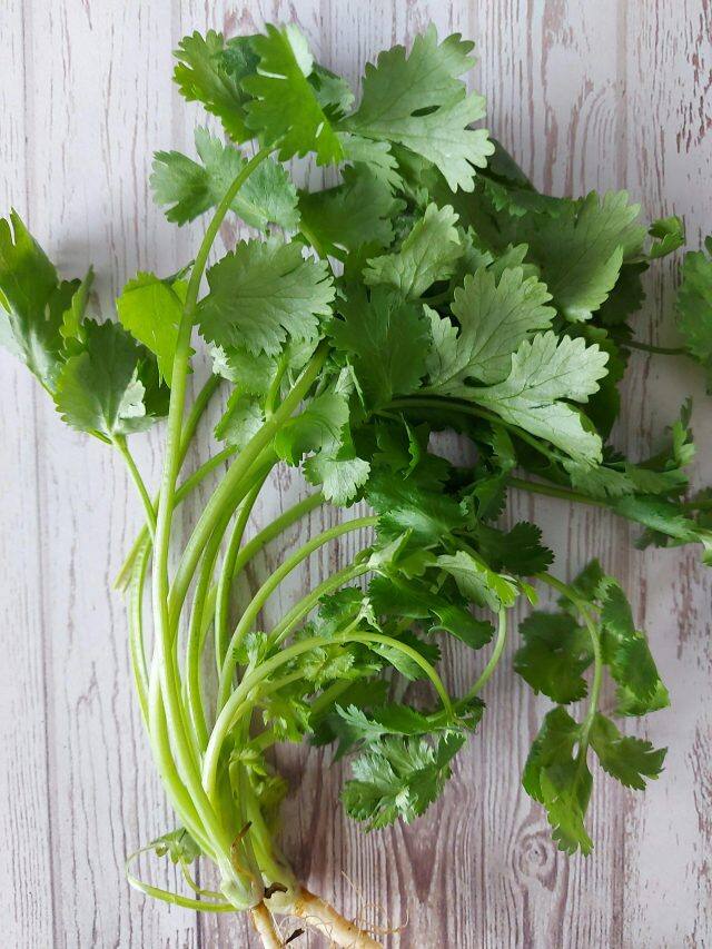 How To Include Dhaniya In Your Diet